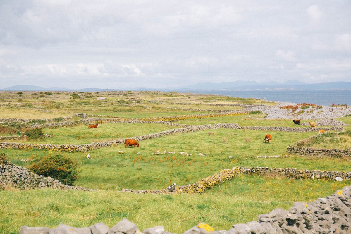 Embarking on a Western Adventure: Galway City and the Aran Islands ...
