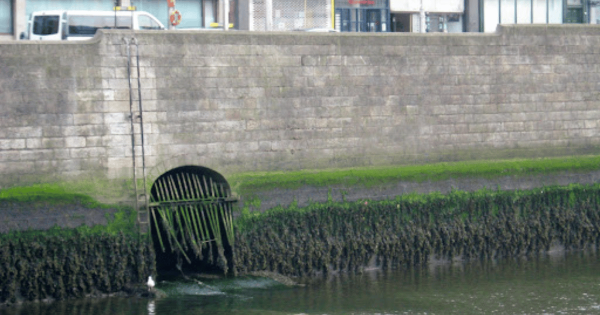 Medieval Dublin Walking Tour: Vikings, Normans & Hidden History - Atlas ...